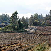 Home | District of Saanich