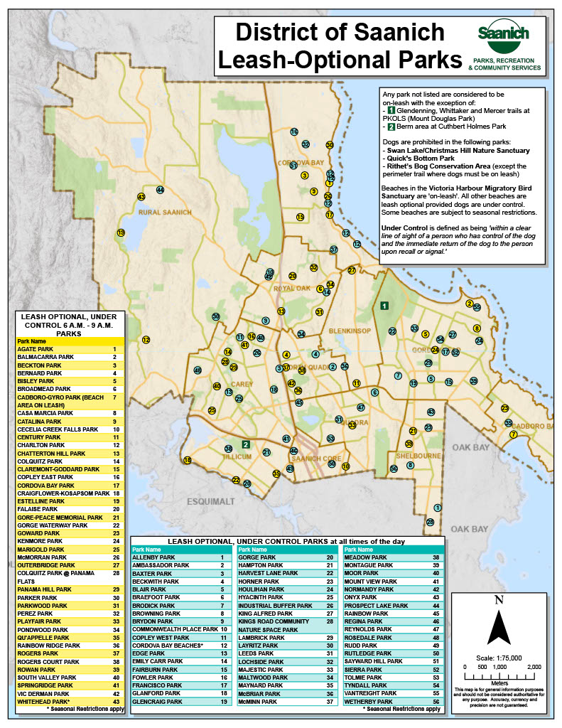 Dogs in Parks – District of Saanich | District of Saanich