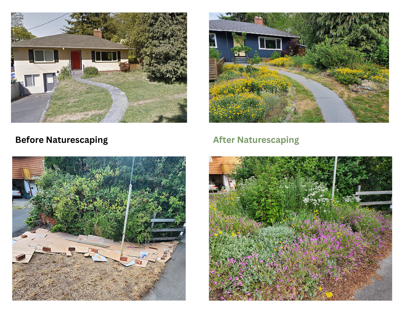 Saanich Naturescape Program | District of Saanich