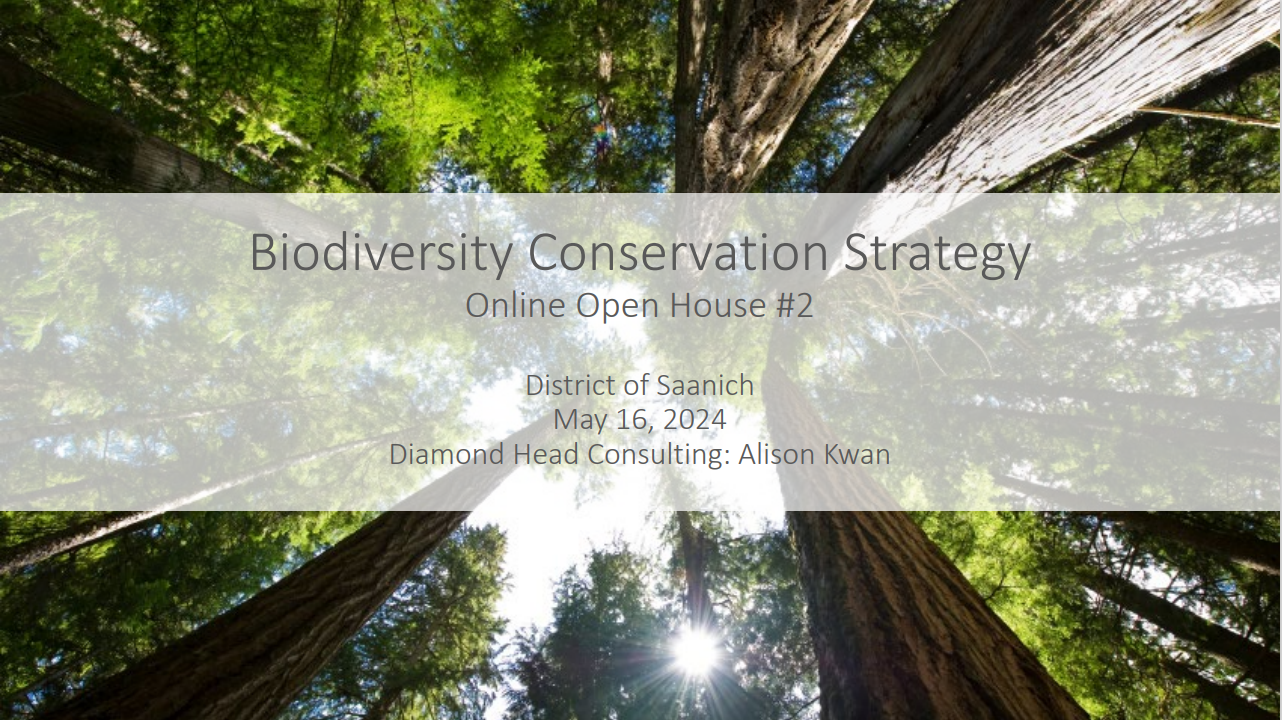 Joint Urban Forest Strategy and Biodiversity Conservation Strategy ...