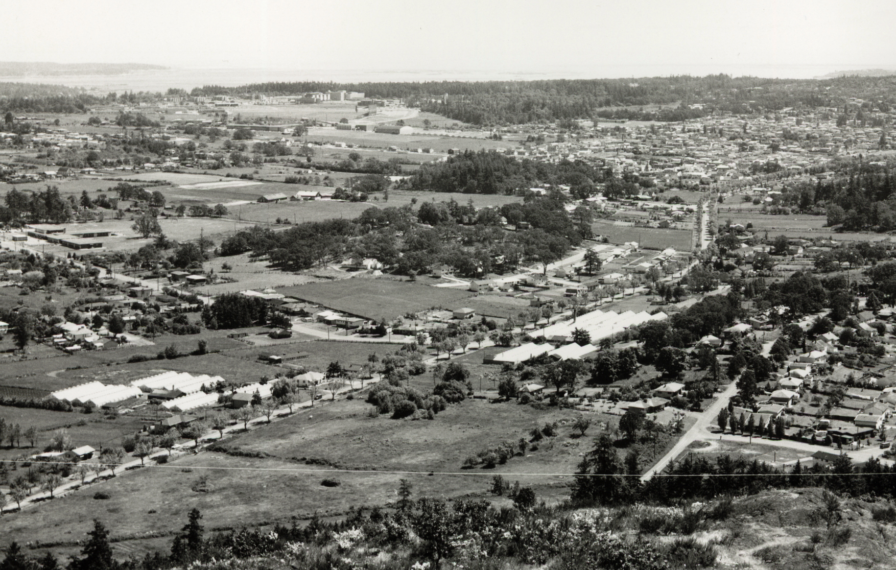 Shelbourne Memorial Avenue | District of Saanich