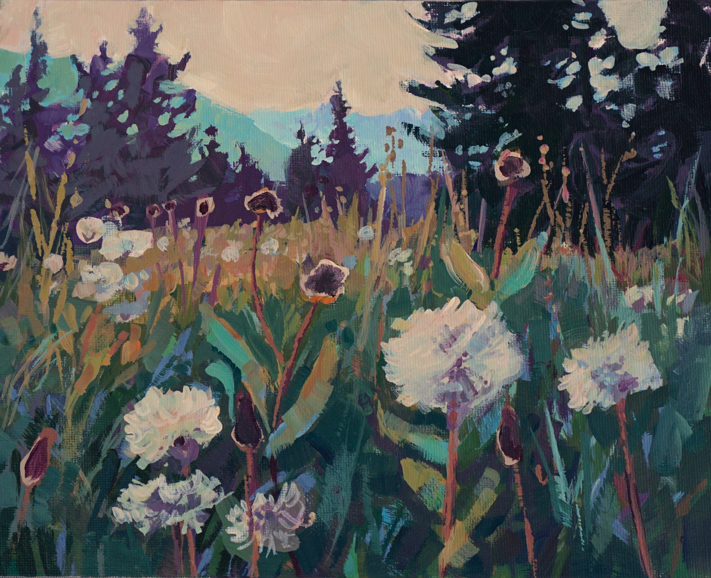 Exhibitions at Saanich Municipal Hall | District of Saanich
