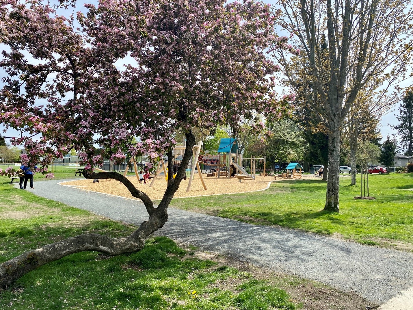 Allenby Park - Playground Refresh | District of Saanich