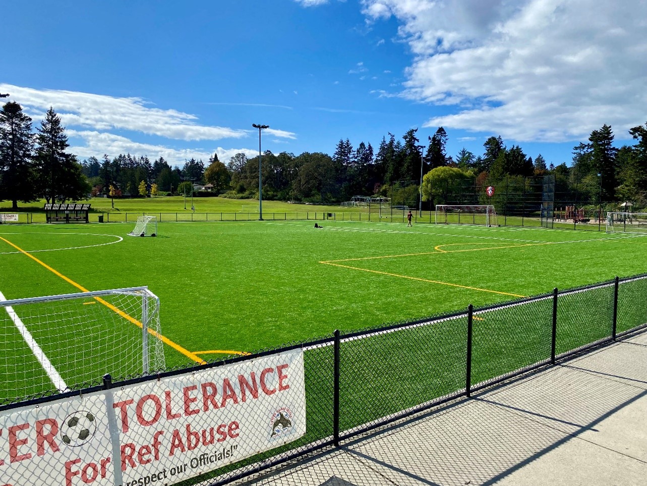 Saanich Outdoor Sports Field Strategy | District of Saanich